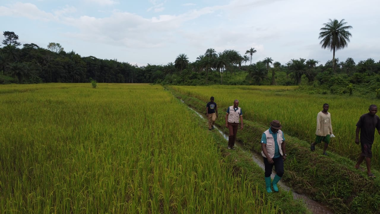 Did Liberia Invest in 4,000 Hectares of Land in 2024 as Claim by UP ...